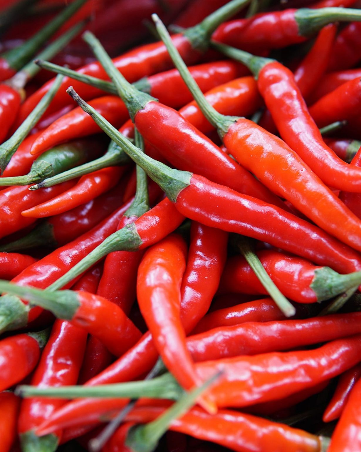 Cayenne Pepper Syrup Recipe | Distillerie de Montréal